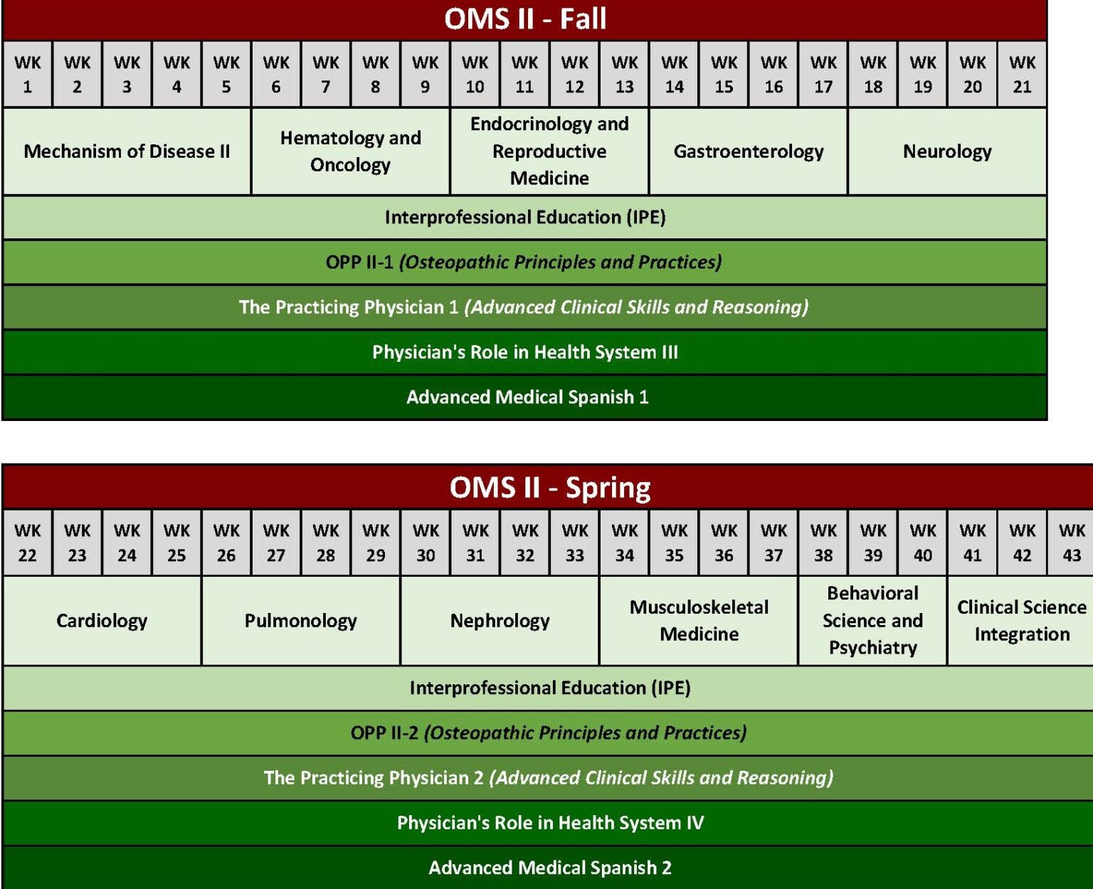 Curriculum – College of Osteopathic Medicine